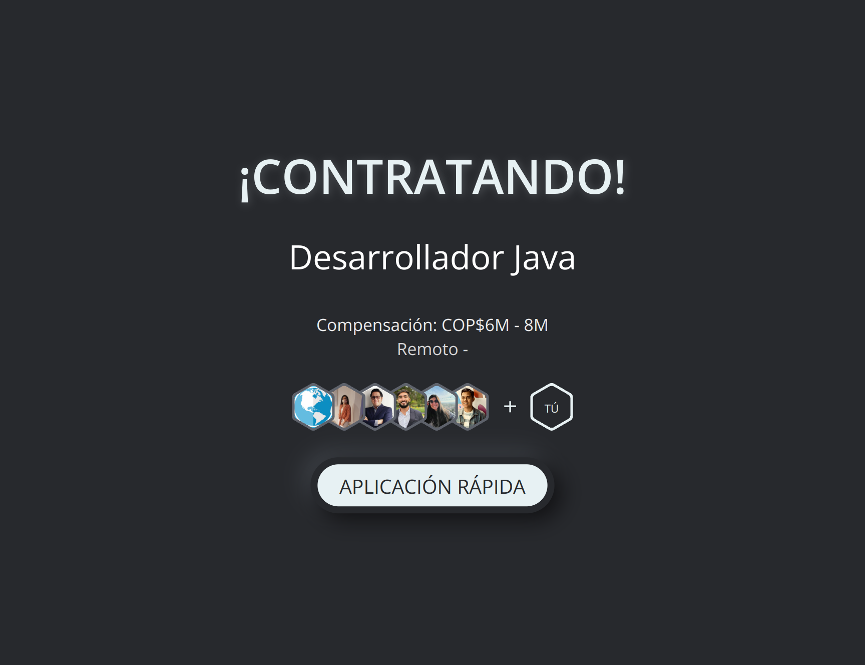 Desarrollador Java en Vicer Solutions | Torre