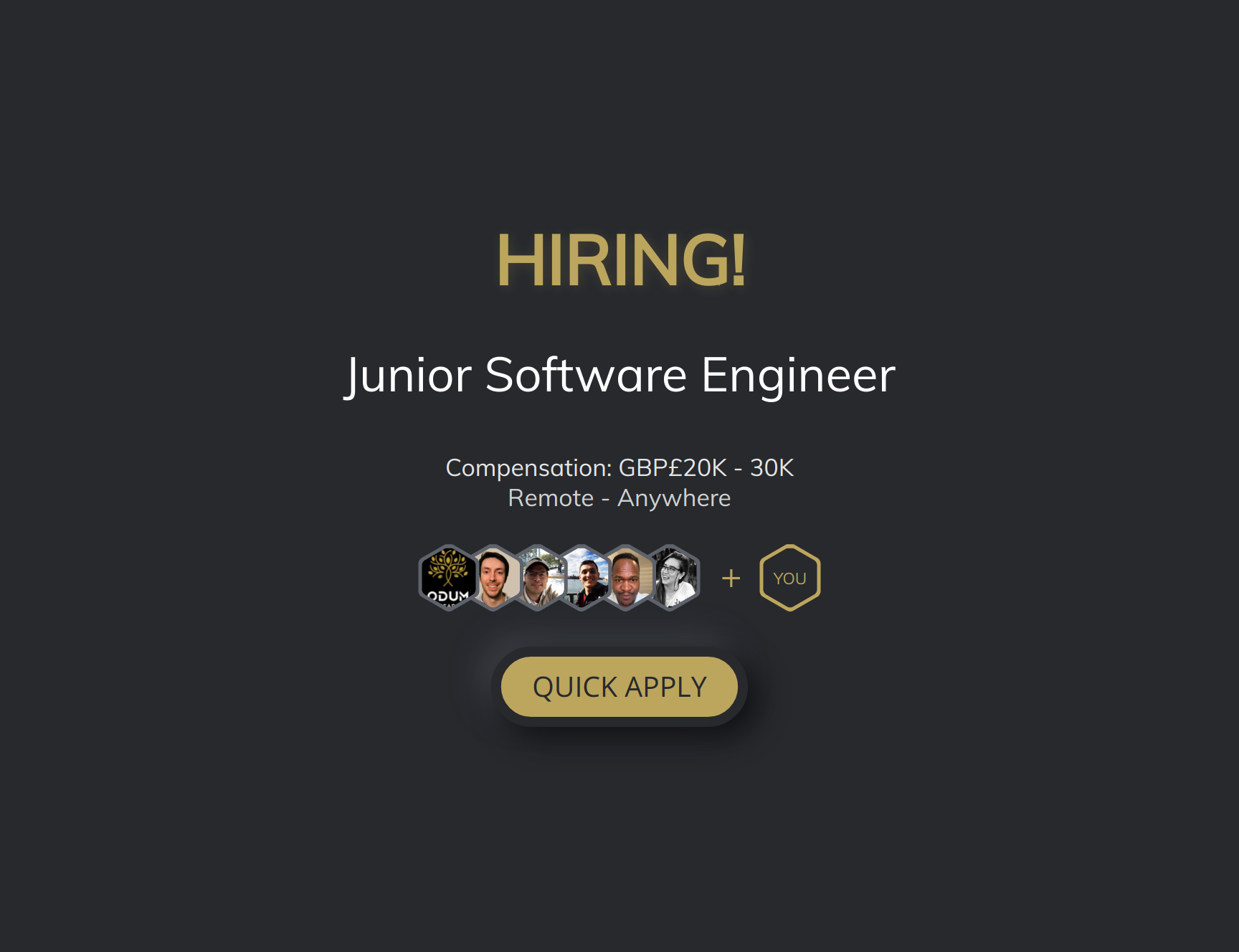 Junior Software Engineer at Odum Research | Torre