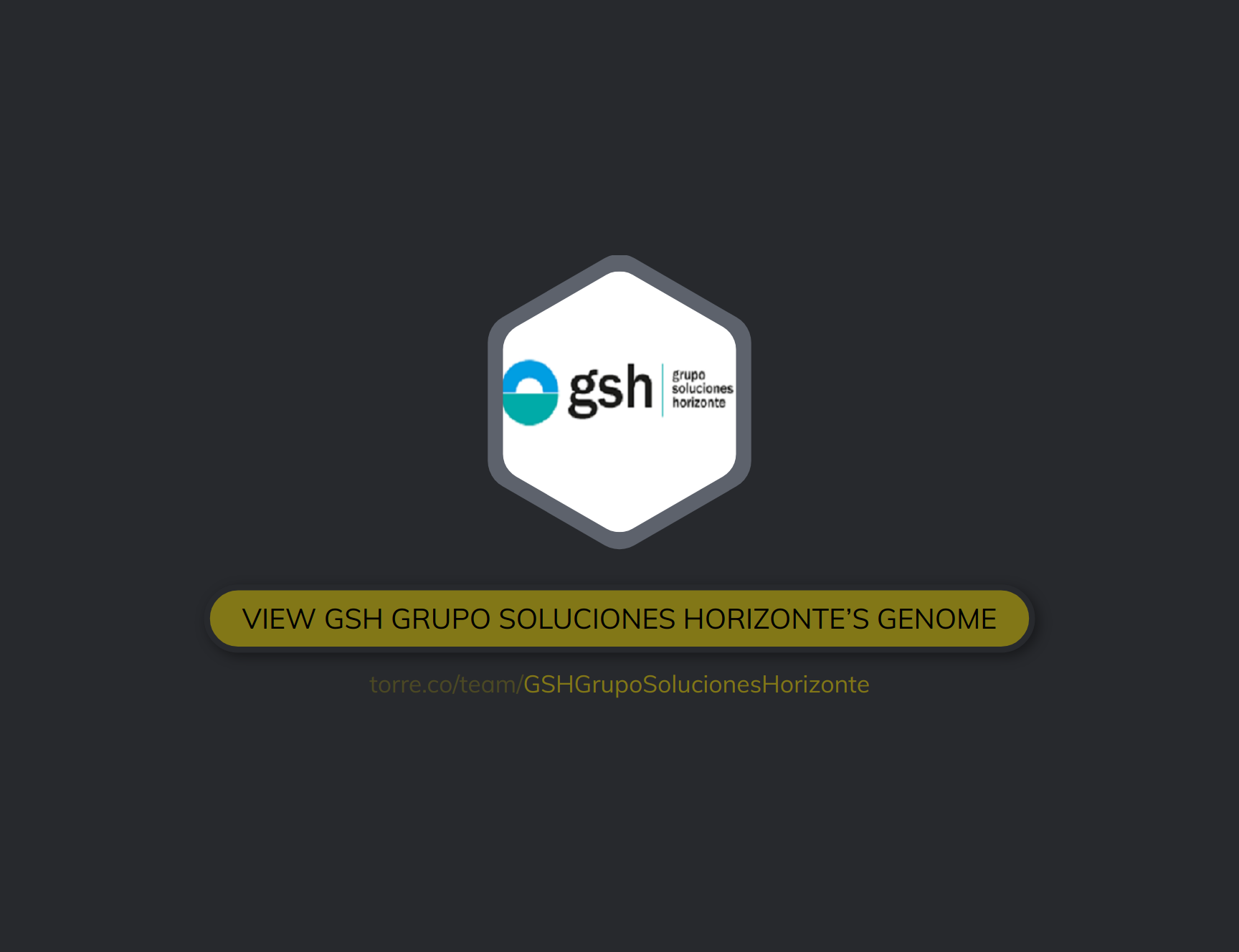 GSH Grupo Soluciones Horizonte - Torre